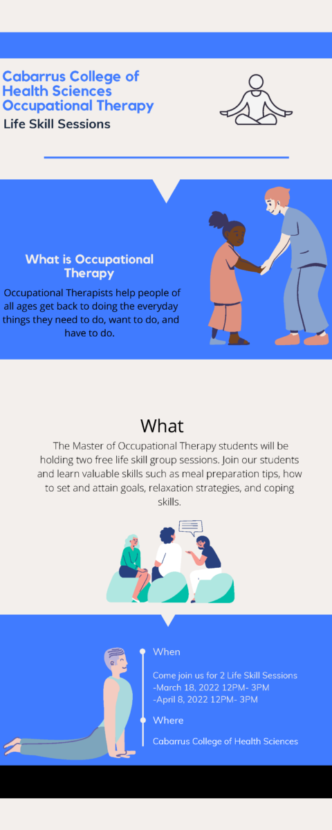 Brave Step Life Skills - Brave Step Changemaker & Resources